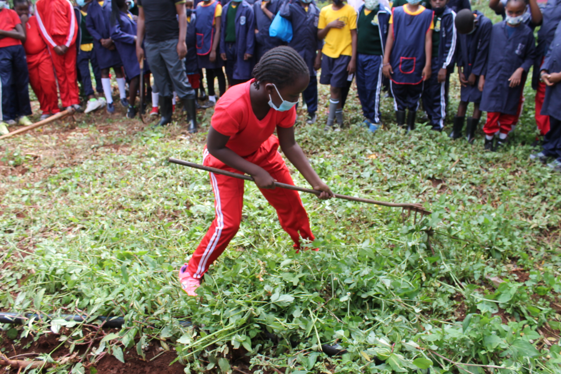 Primary – Juja St. Peter's School